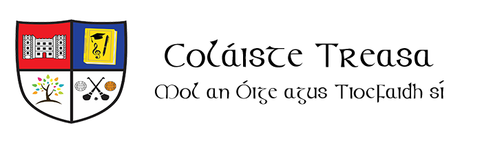 Secondary School Digital Skills Curriculum | Coding Ireland