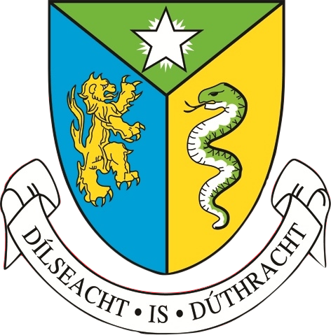 Coding Ireland: Digital Skills & STEM Education for School Students ...