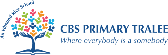 Primary School Digital Skills Curriculum | Coding Ireland