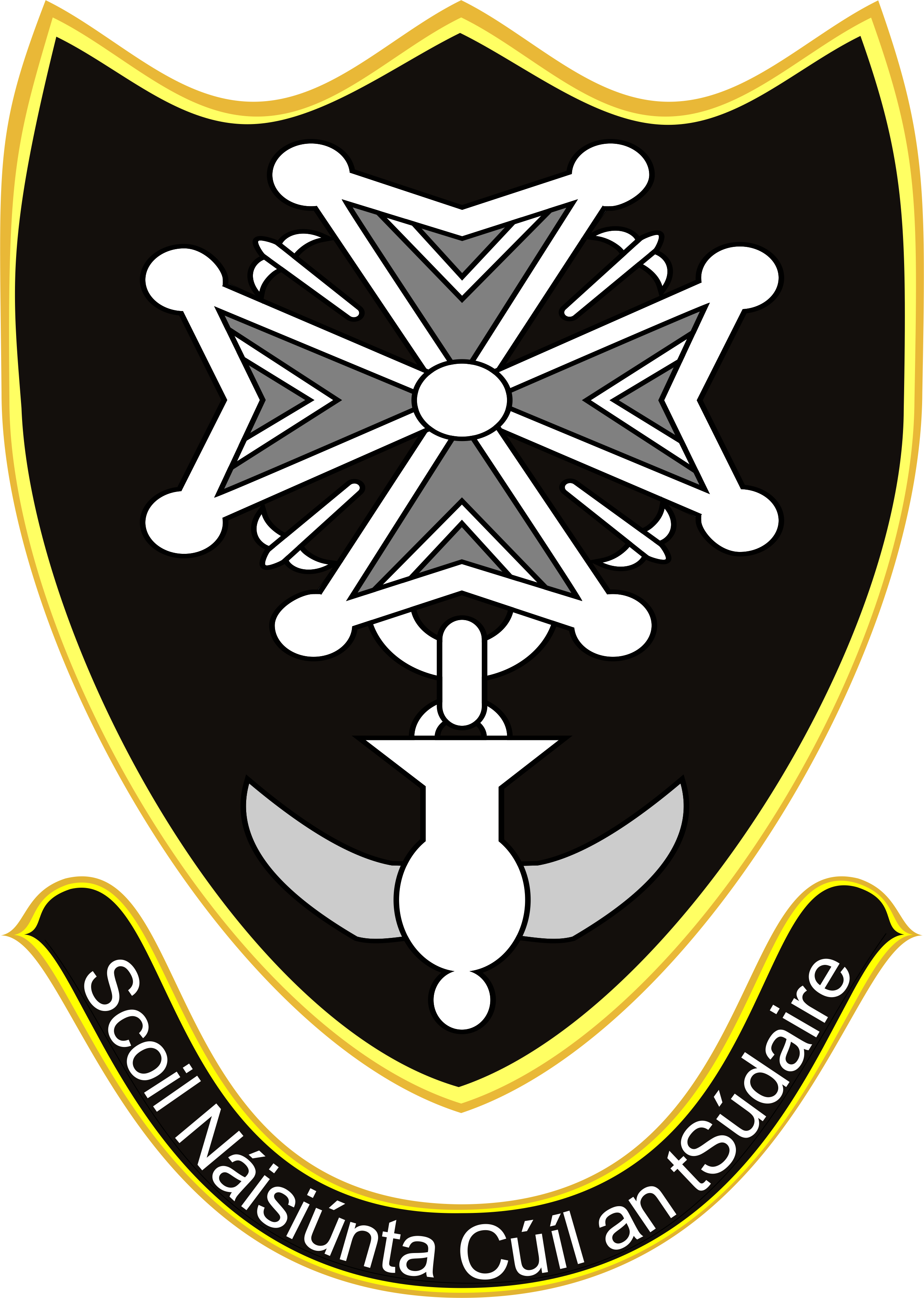 Coding Ireland: Digital Skills & STEM Education for School Students ...