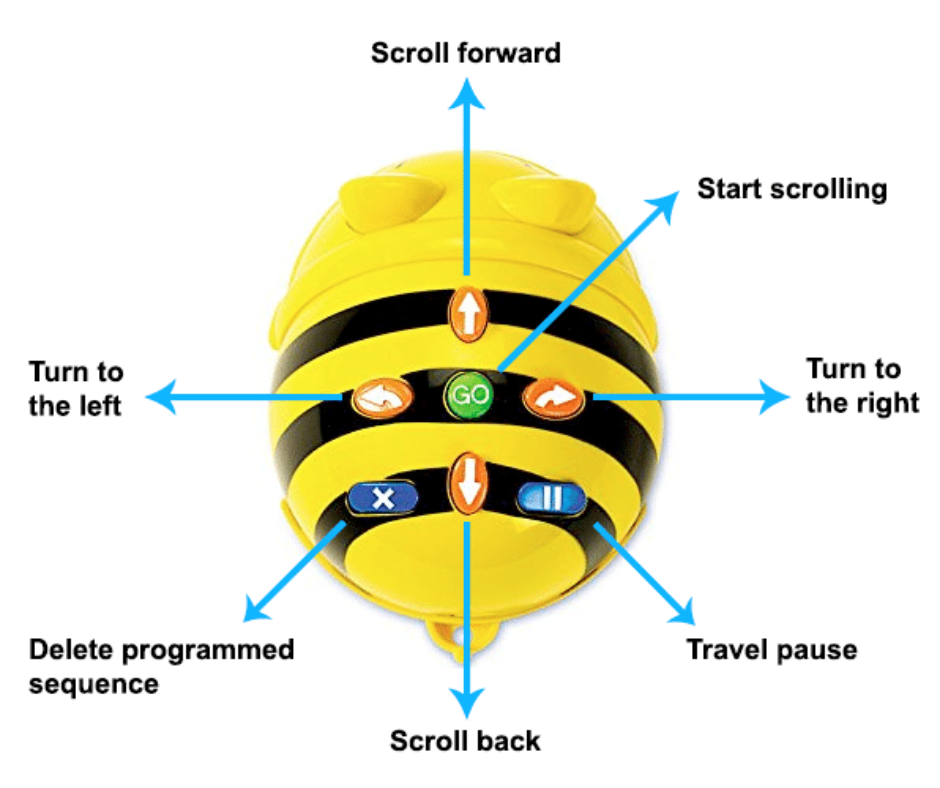 Bee-Bot Basics: Forward and Backward Fun!