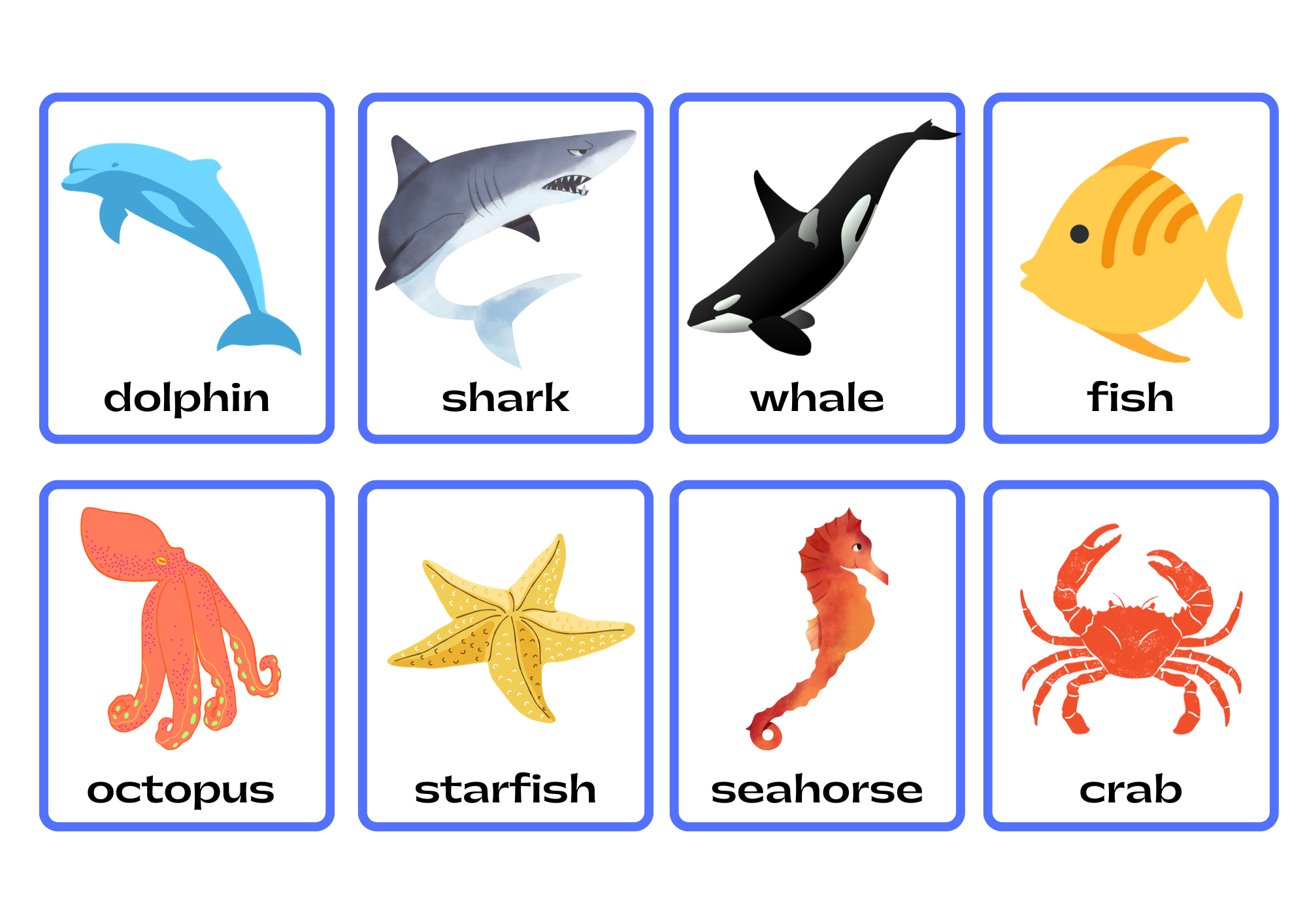 Sea Animal Data | Stage 1 Lesson | Coding Ireland